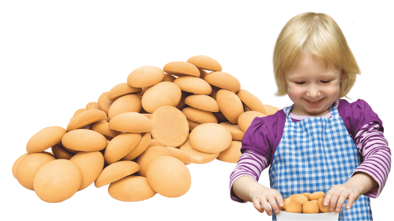 HOME [www.dvorak-engineering.com]