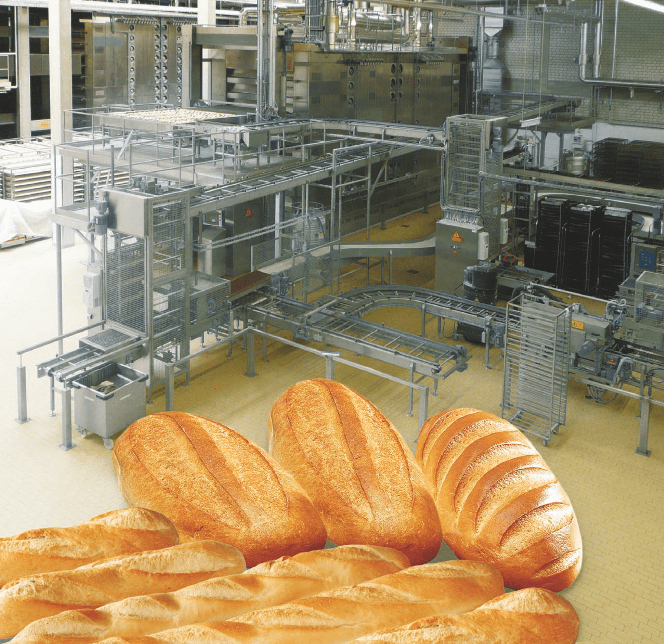 Dvorak-Engineering - Bread production Lines